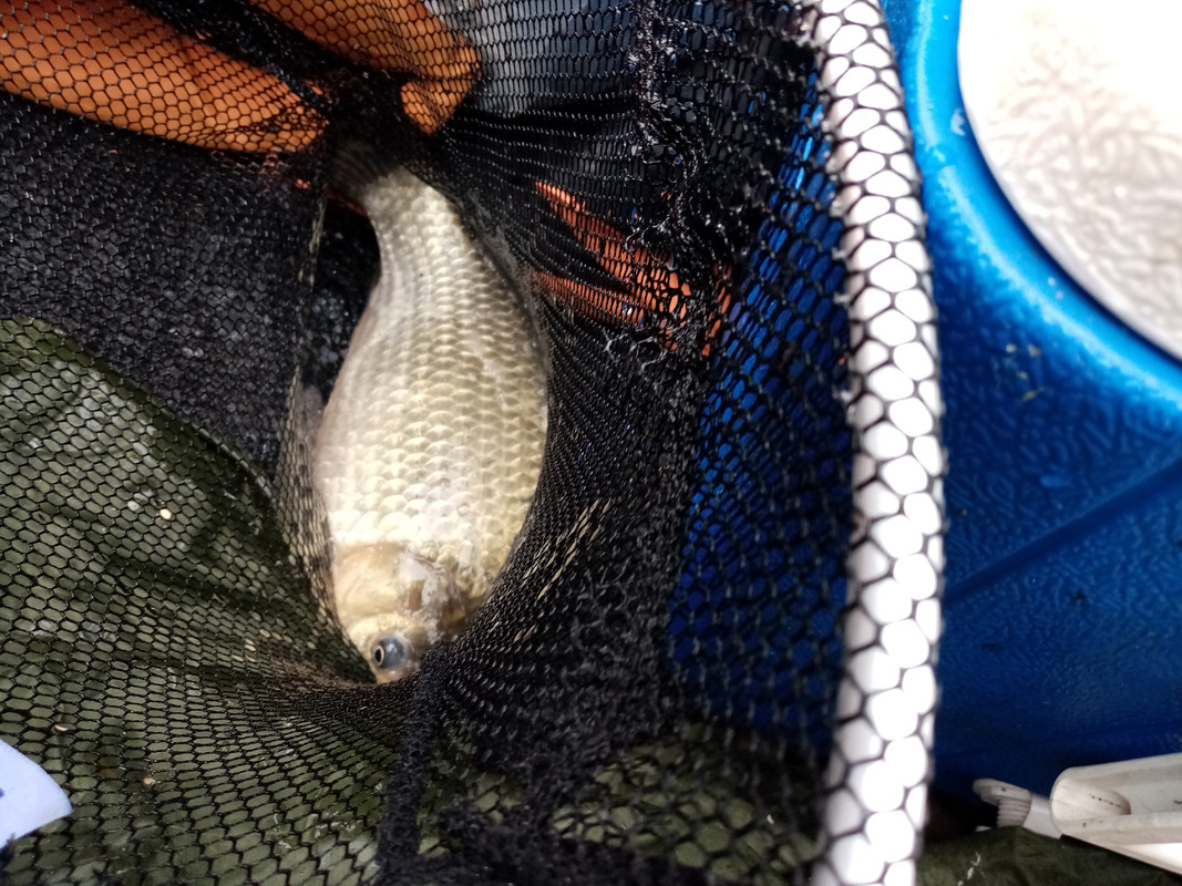 IMG 20200816 143208 — Postimages