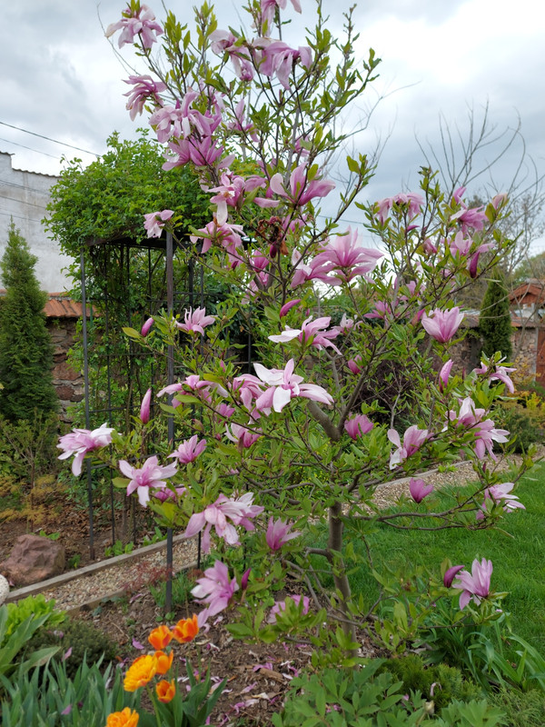 8 C0 AAB91 87 A4 4276 B6 F0 2 A9 E212 E9952 — Postimages