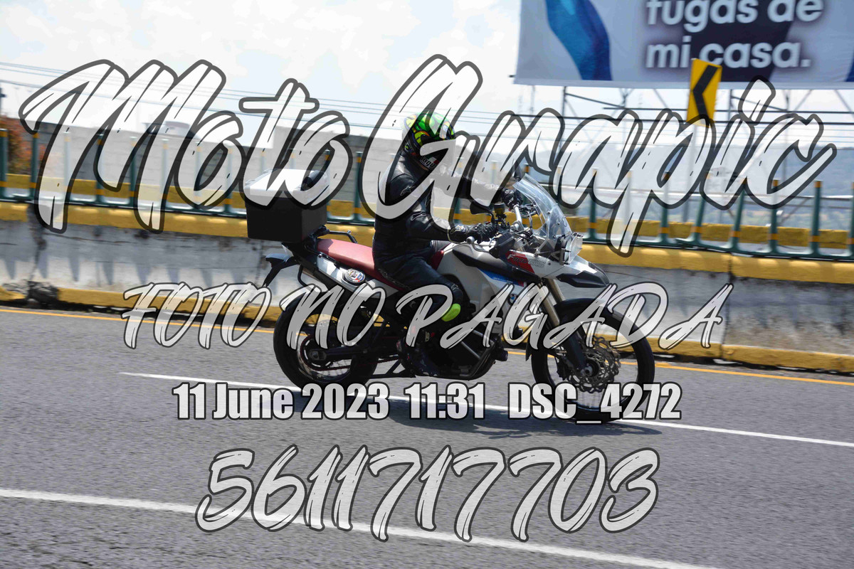 motgr DSC 4272 — Postimages