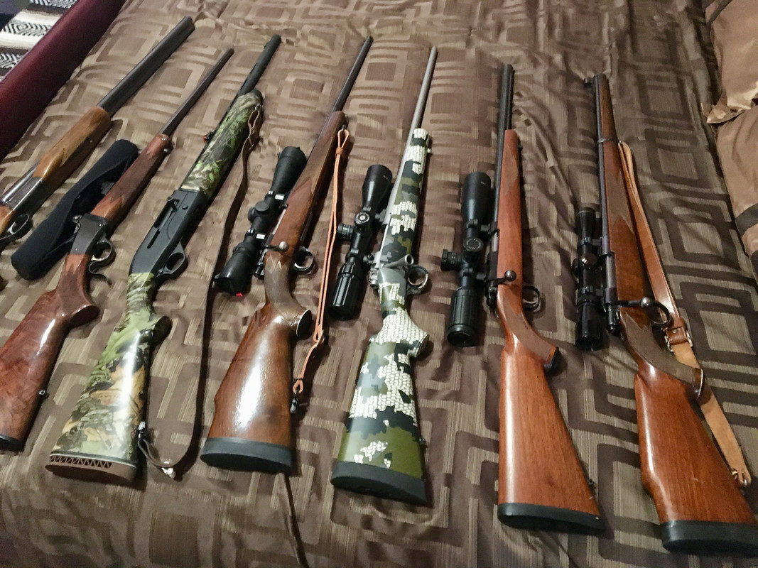 Same guns — Postimages