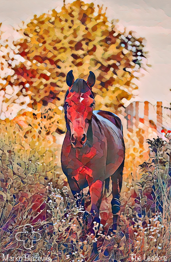 IMG 0087 — Postimages