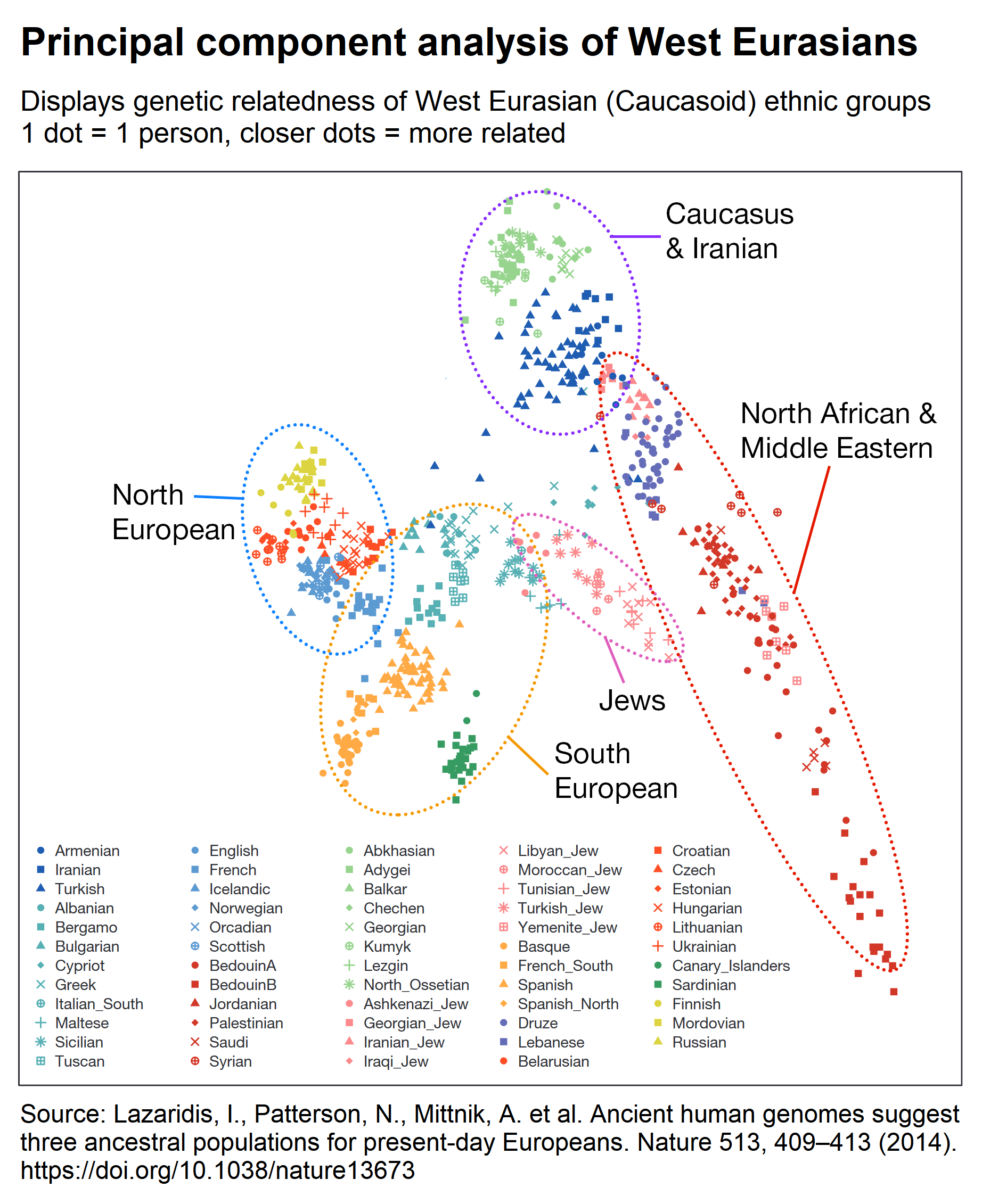 Jews are a distinct race from Whites and have distinct genetics ...