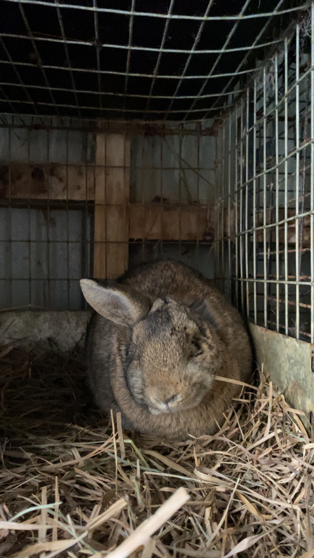 IMG 3583 — Postimages