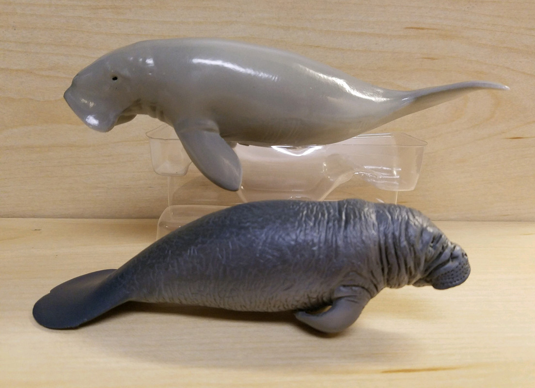 West Indian Manatee (Papo - Wildlife)