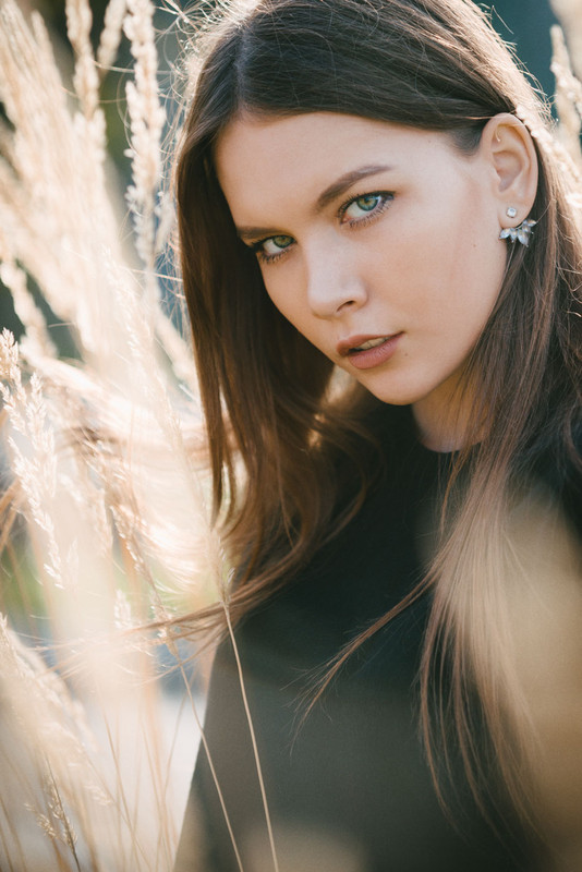 DSC 8159 — Postimages