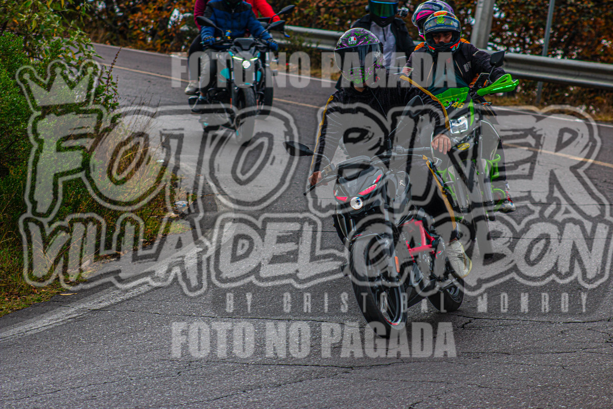 cv 113 — Postimages