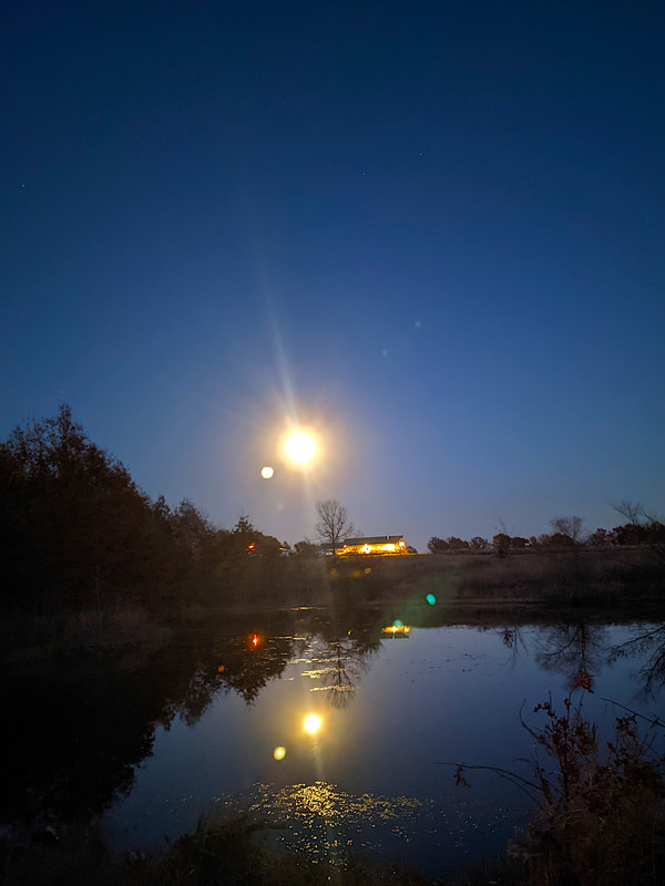 Pond Moon House 2 s — Postimages