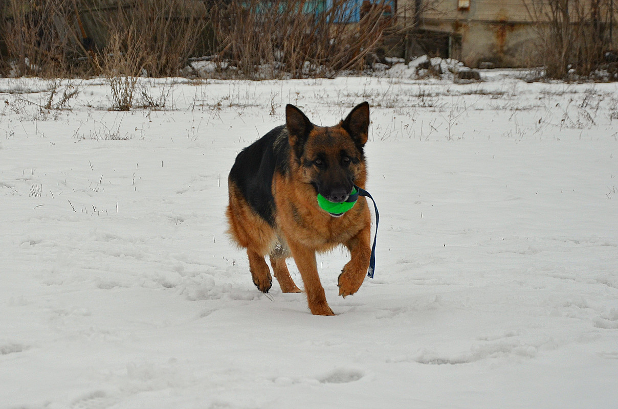 Эля 10 — Postimages