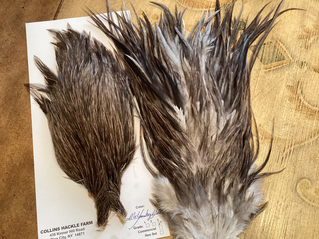 IMG 0289 — Postimages