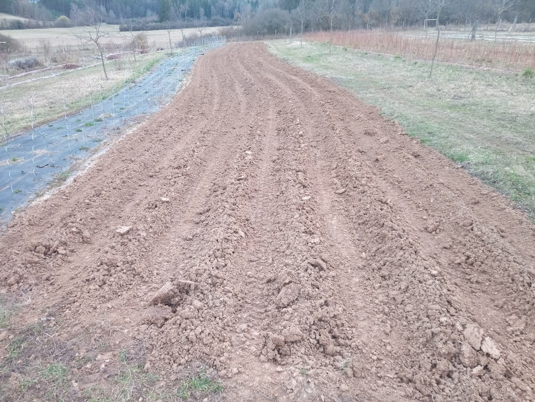 IMG 20240312 153859 284 — Postimages