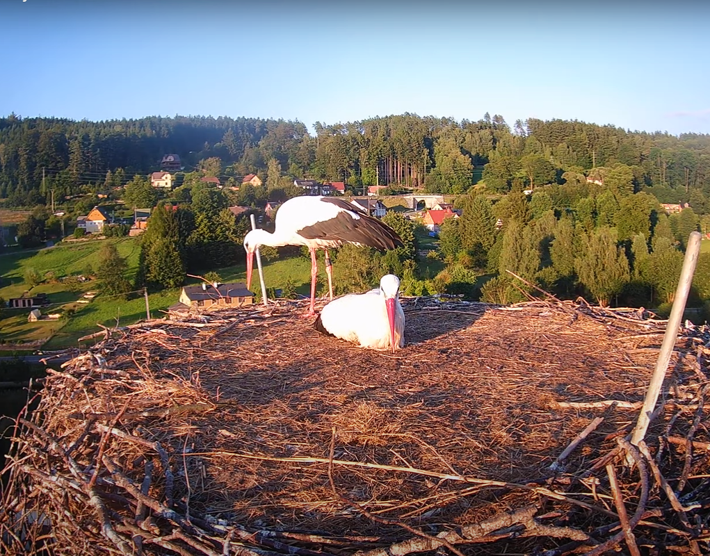 Screenshot 92 — Postimages