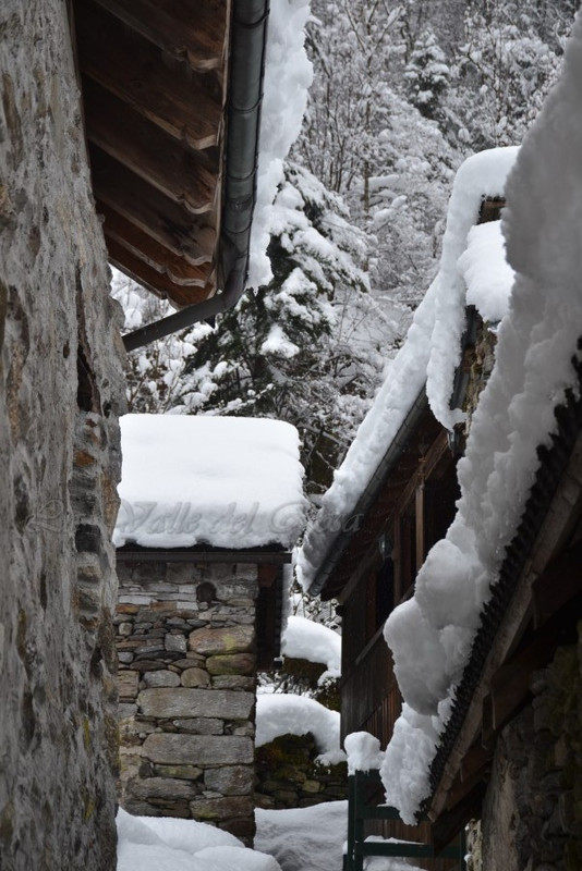 DSC 0709 — Postimages