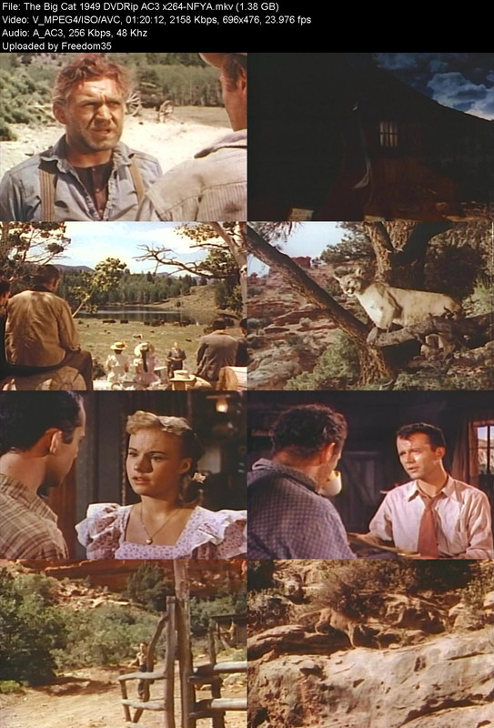 The Big Cat 1949 DVDRip AC3 x264 NFYA — Postimages