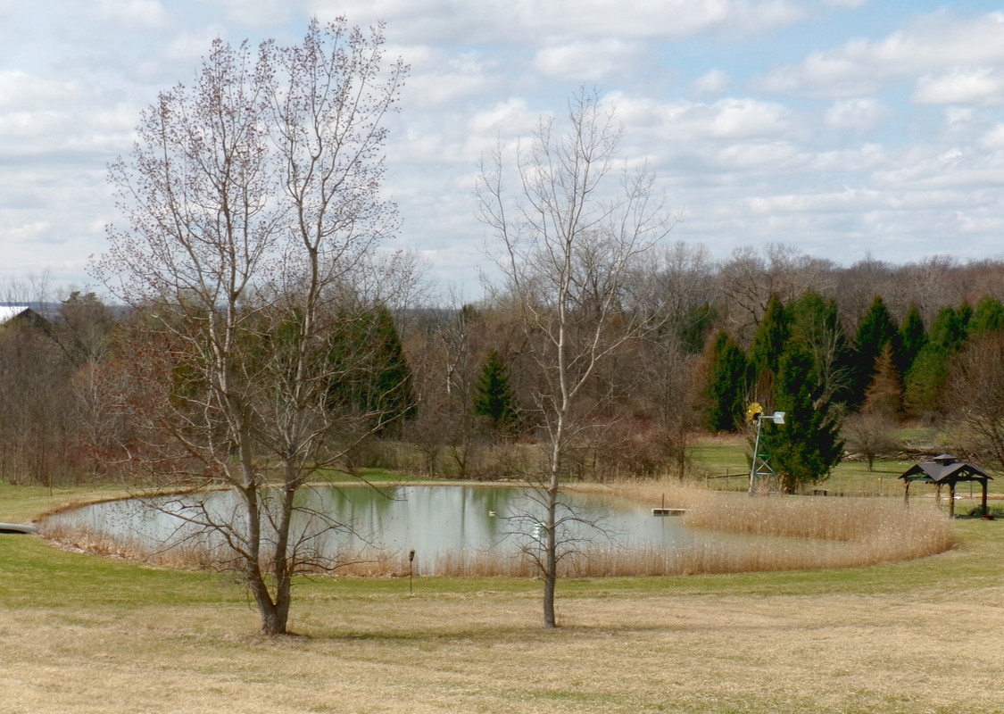 RunningAHEAD - Topic: Foolish Games-April 2025