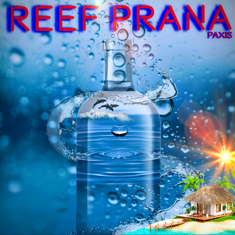 Capture 2020 02 13 02 51 43 — Postimages