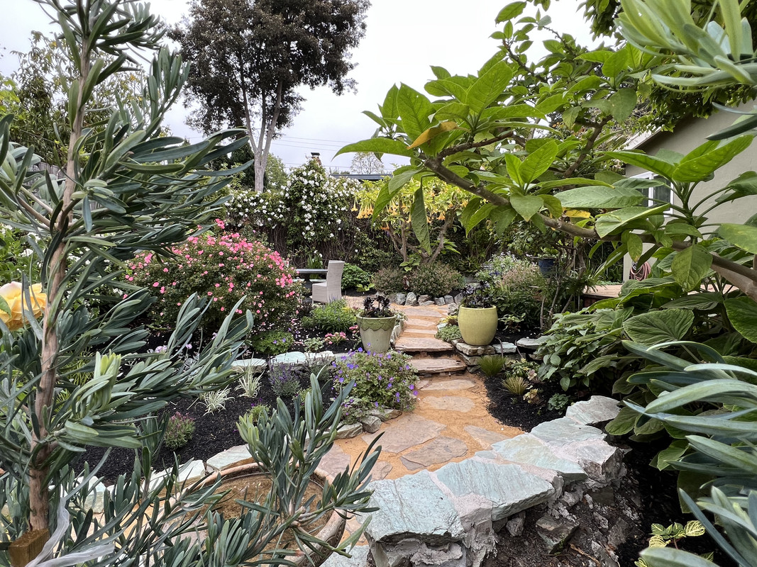 2499 AD59 C2 D4 4029 9 A71 FF15 C7 BF4479 — Postimages