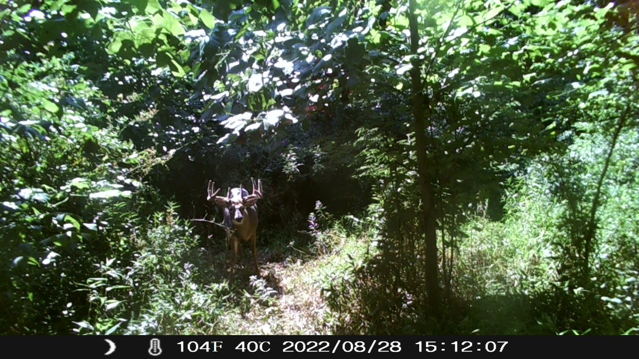 IMAG0051 — Postimages