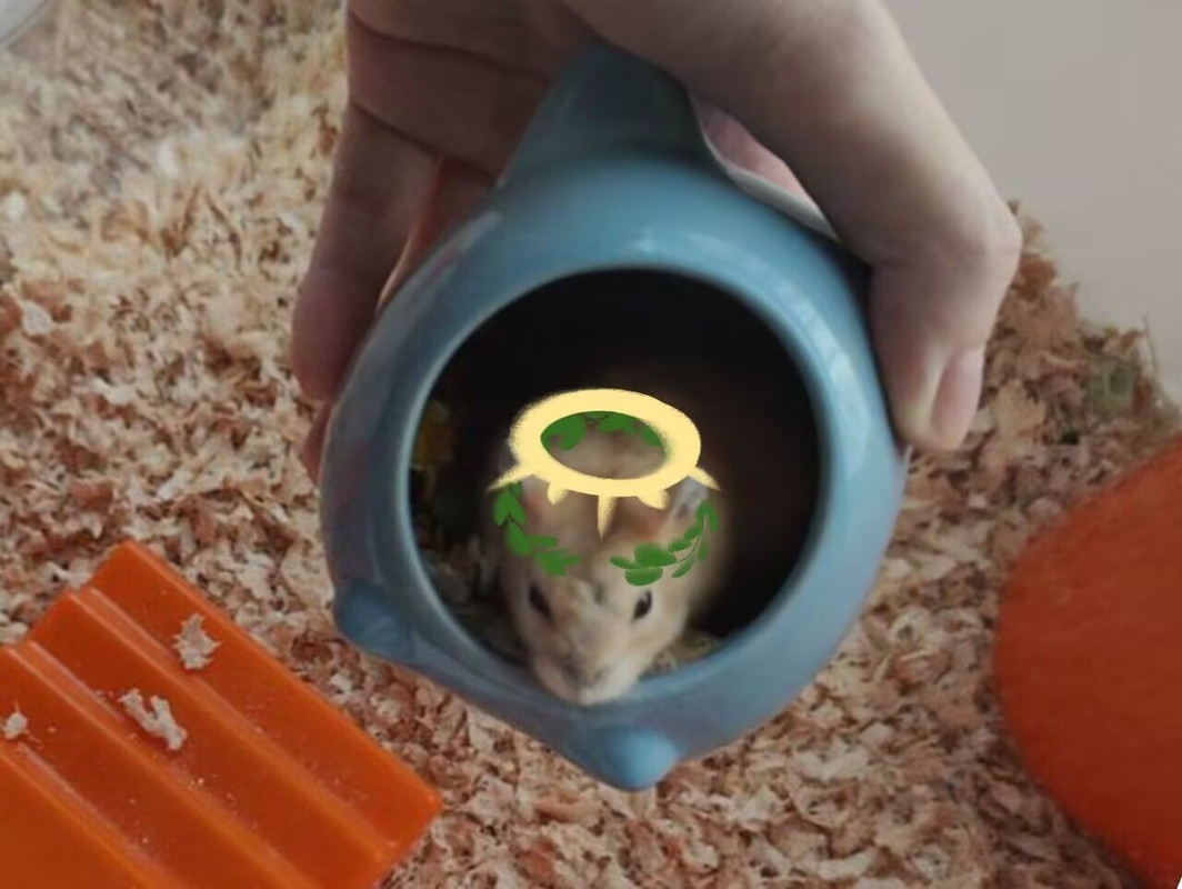 【战锤40k/1713】仓鼠大叛乱 （The Hamster Heresy） - Chapter 2 - Qingping_nightmare ...