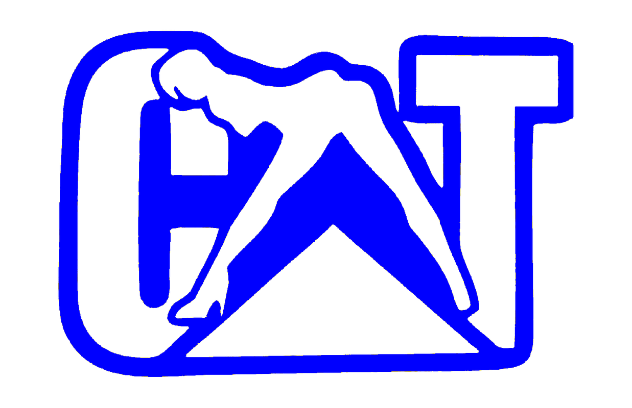 CAT Girl 2 — Postimages