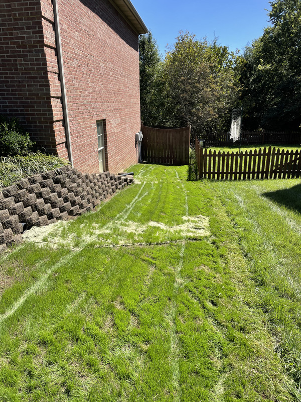 IMG 0735 — Postimages