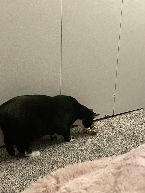 55 D44339 B4 B2 416 B A5 EC ECD25 E46 A9 CA — Postimages