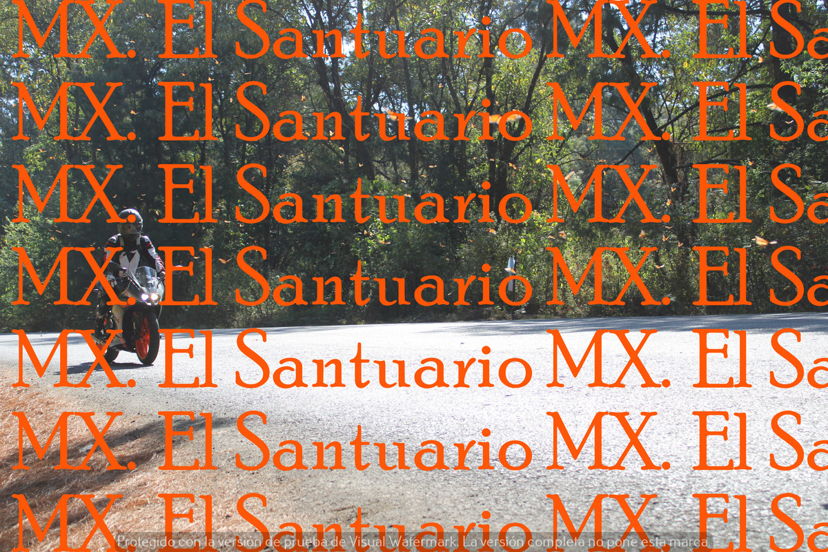 IMG 0136 — Postimages