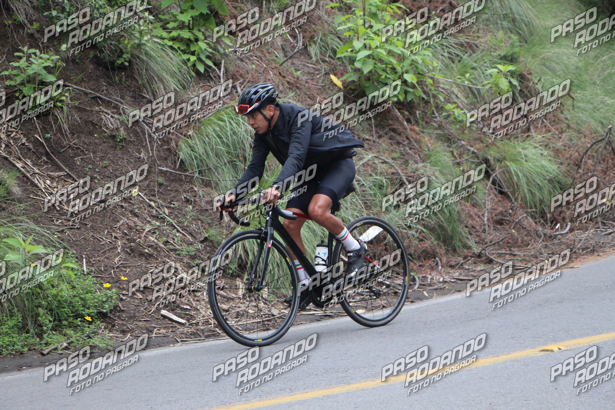 IMG 3105 wm 1555184 3000000003 watermarked — Postimages