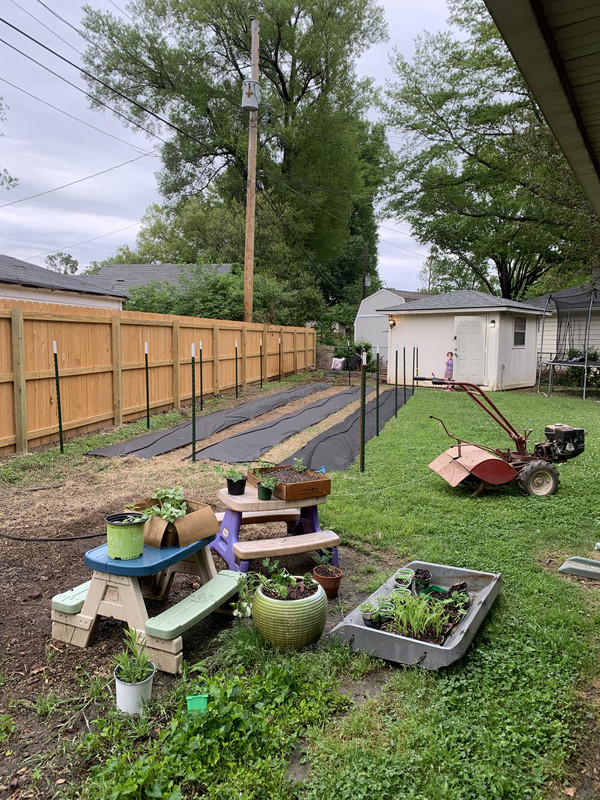 IMG 1882 — Postimages