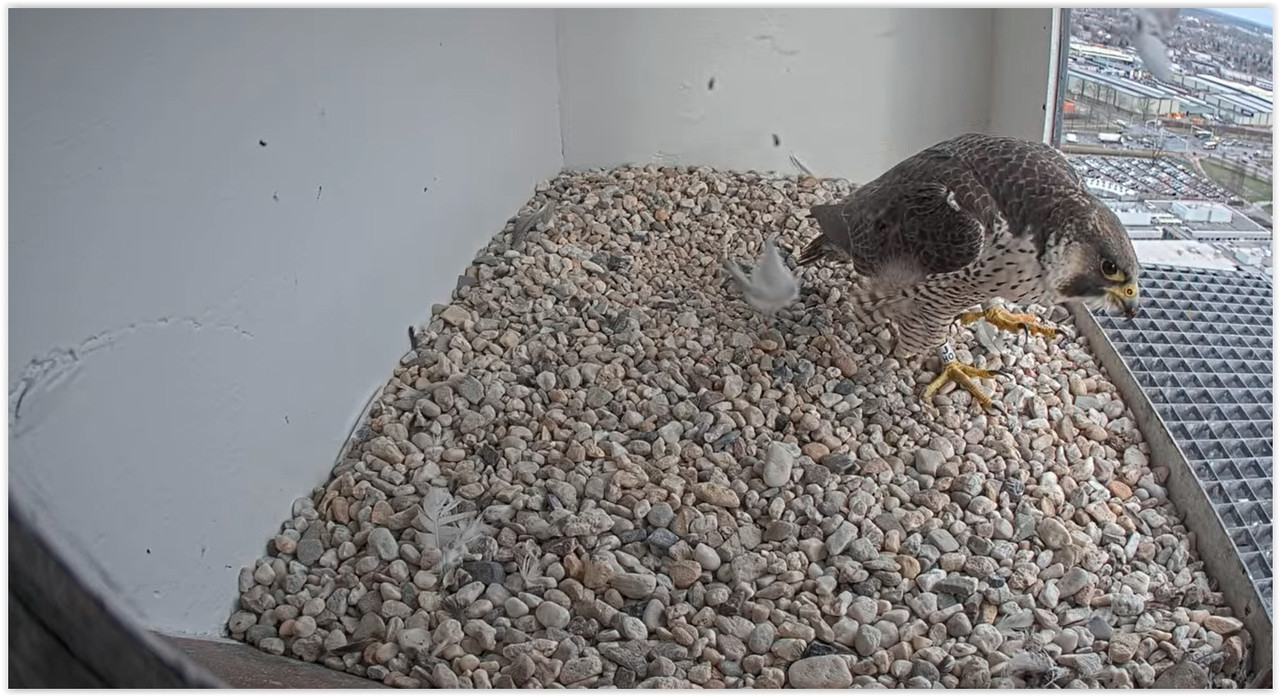 Screen Shot 03 13 23 at 09 12 AM 001 — Postimages