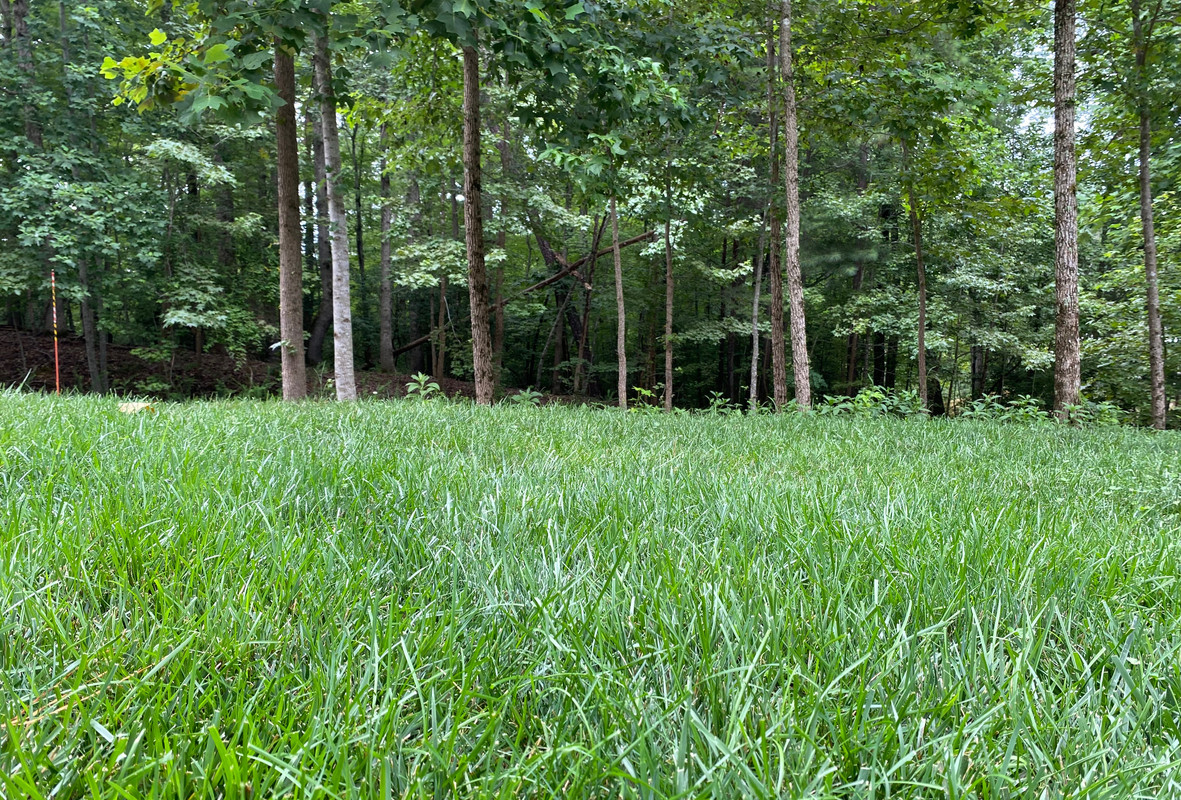 IMG 9902 — Postimages