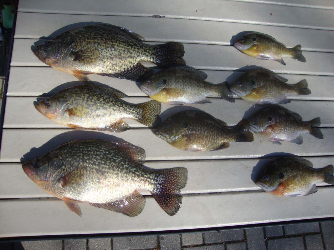 19 FISHING 001 — Postimages