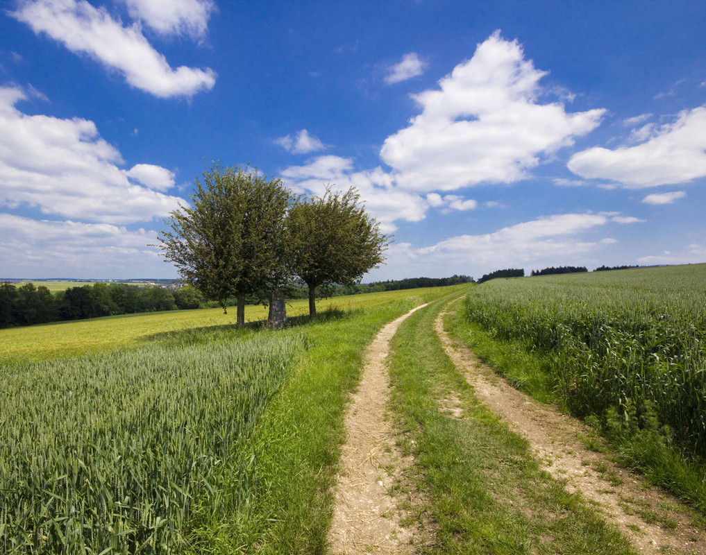 IMG 6180 — Postimages