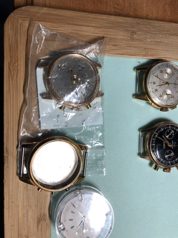 IMG 5576[1] — Postimages