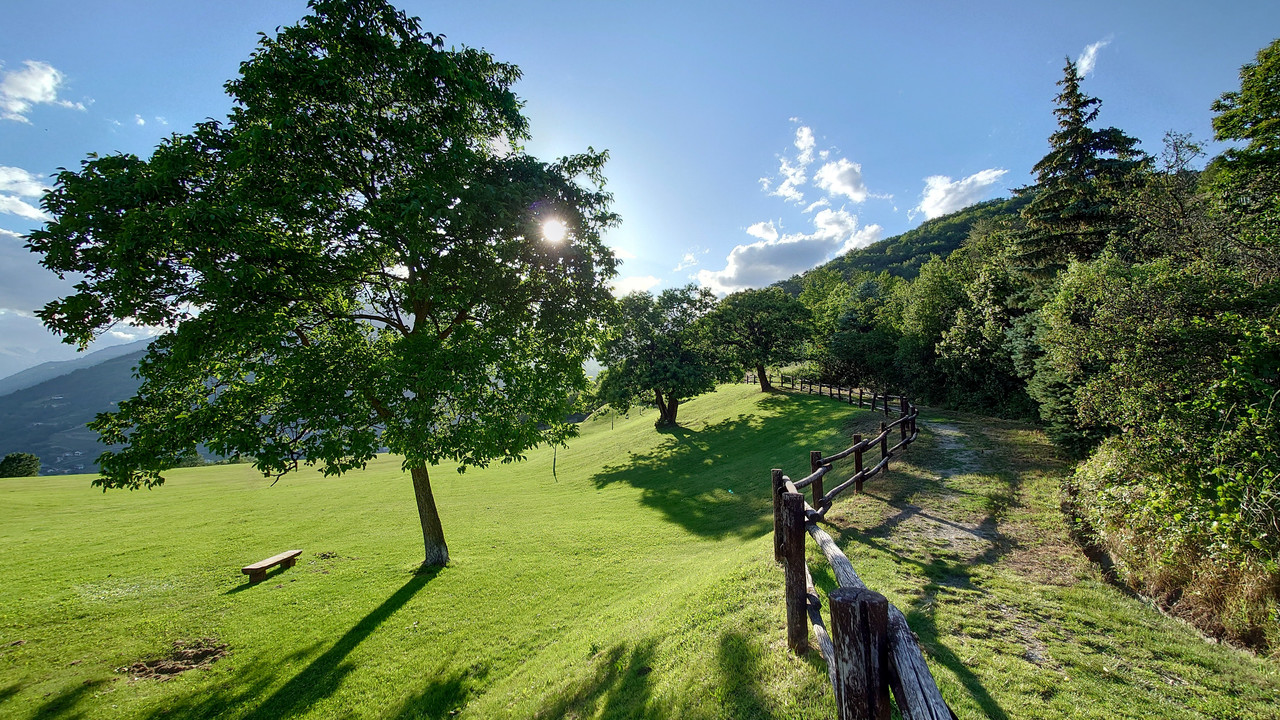 20220605 192021 — Postimages