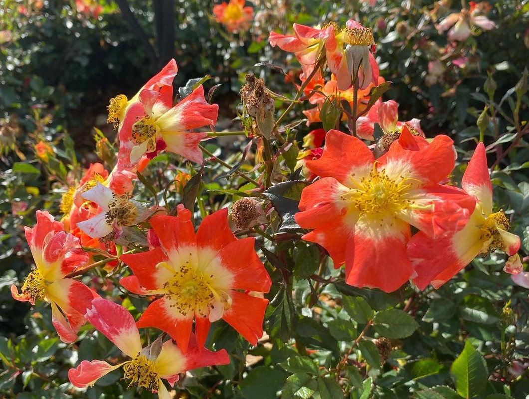 2023 05 29 thinkaboutzu post 4 — Postimages