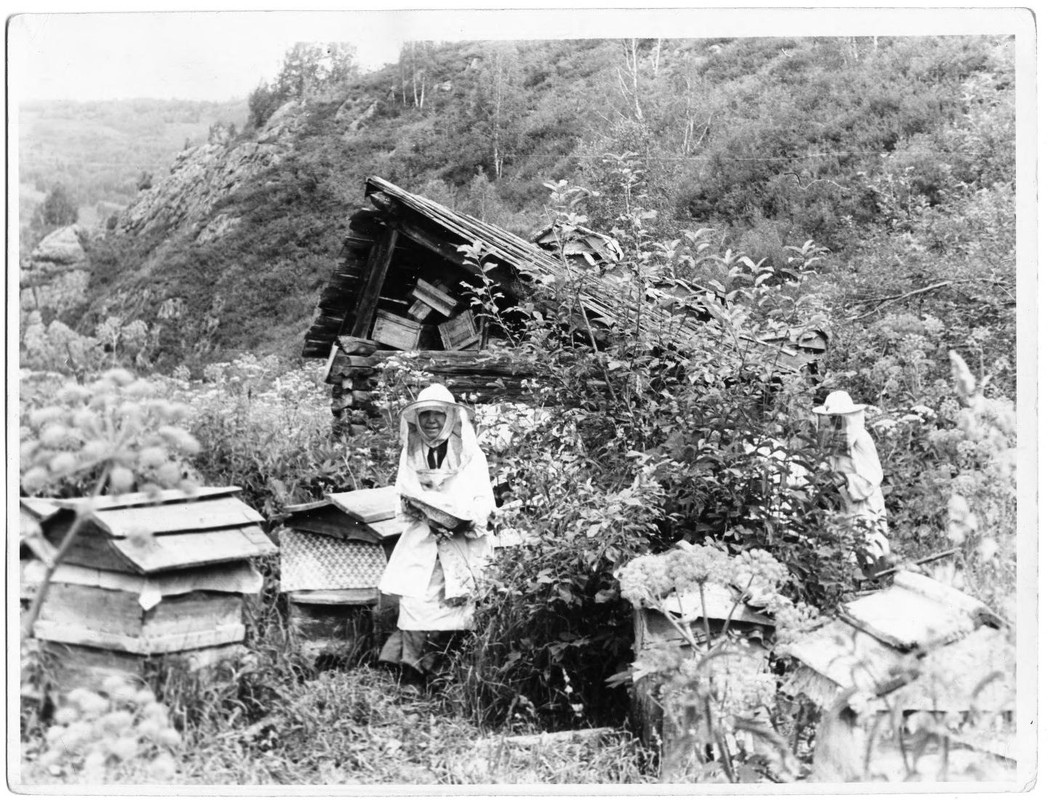 iiif service gdc gdclccn 20 18 68 54 70 2018685470 wa00017u full pct 50 ...