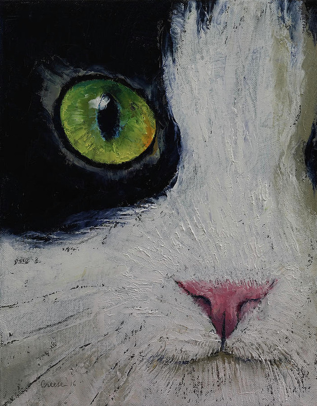 37 japanese bobtail cat michael creese — Postimages