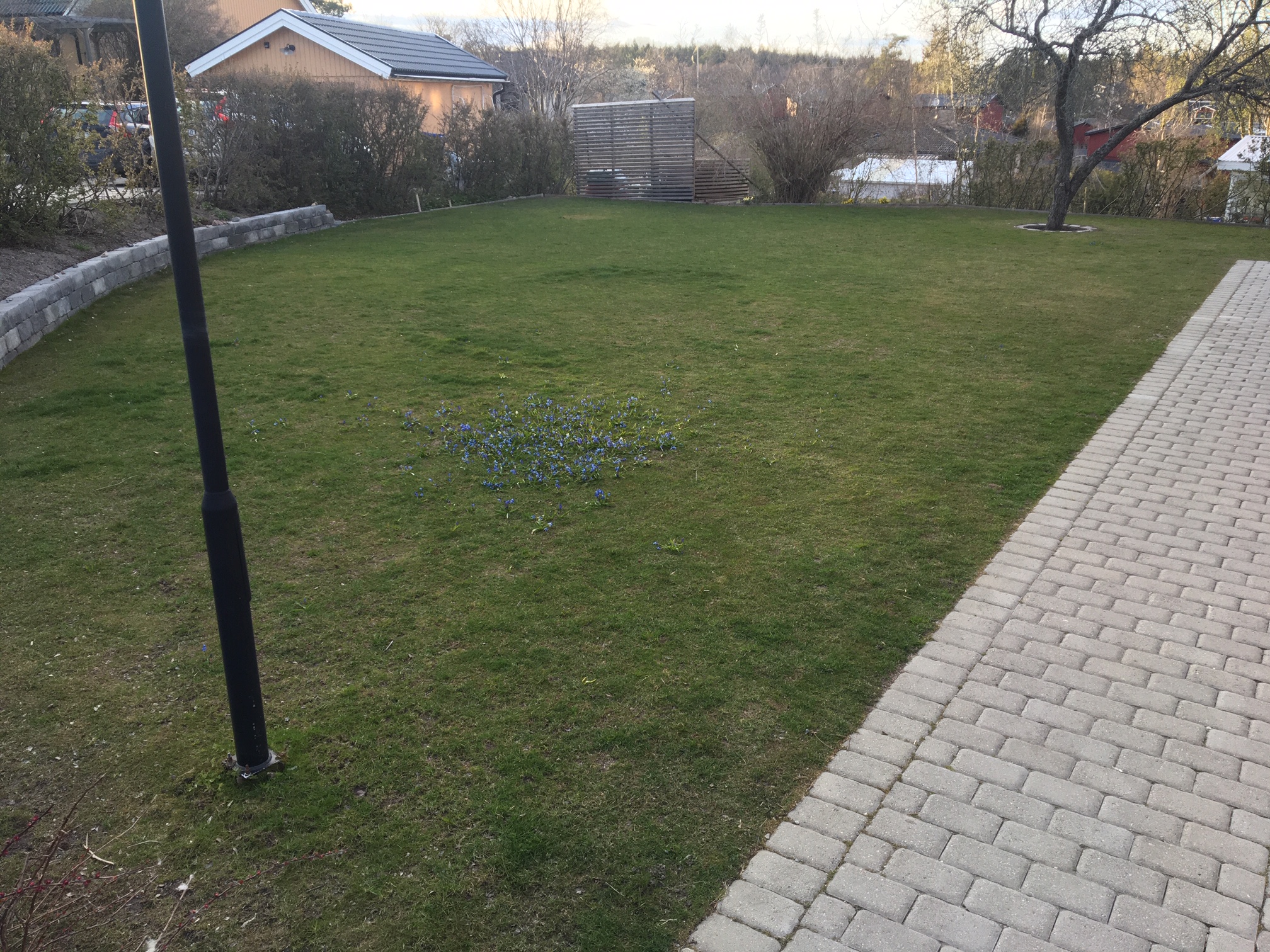 image0 Copy — Postimages