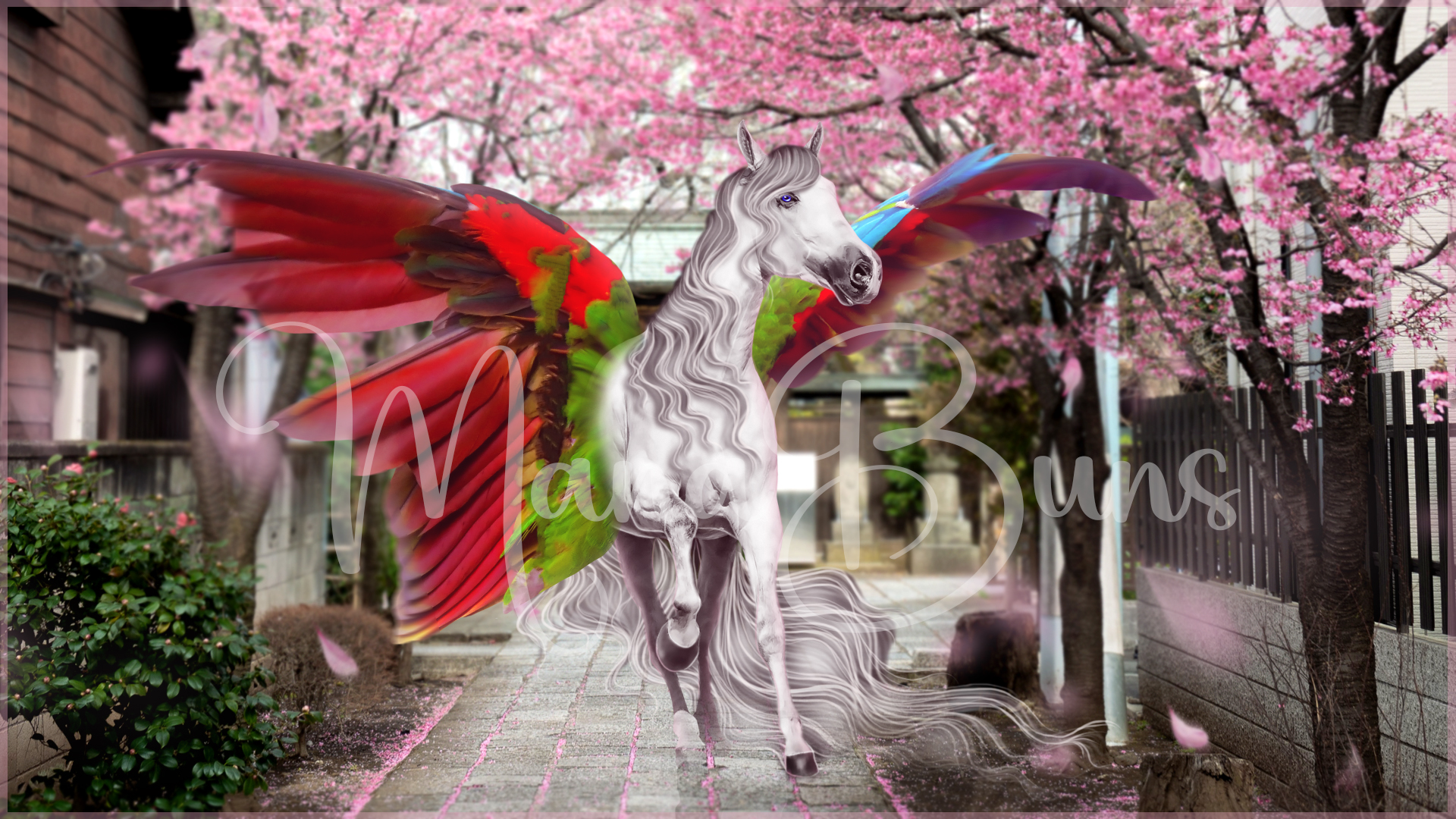 Peacock Cherry Run WIP — Postimages