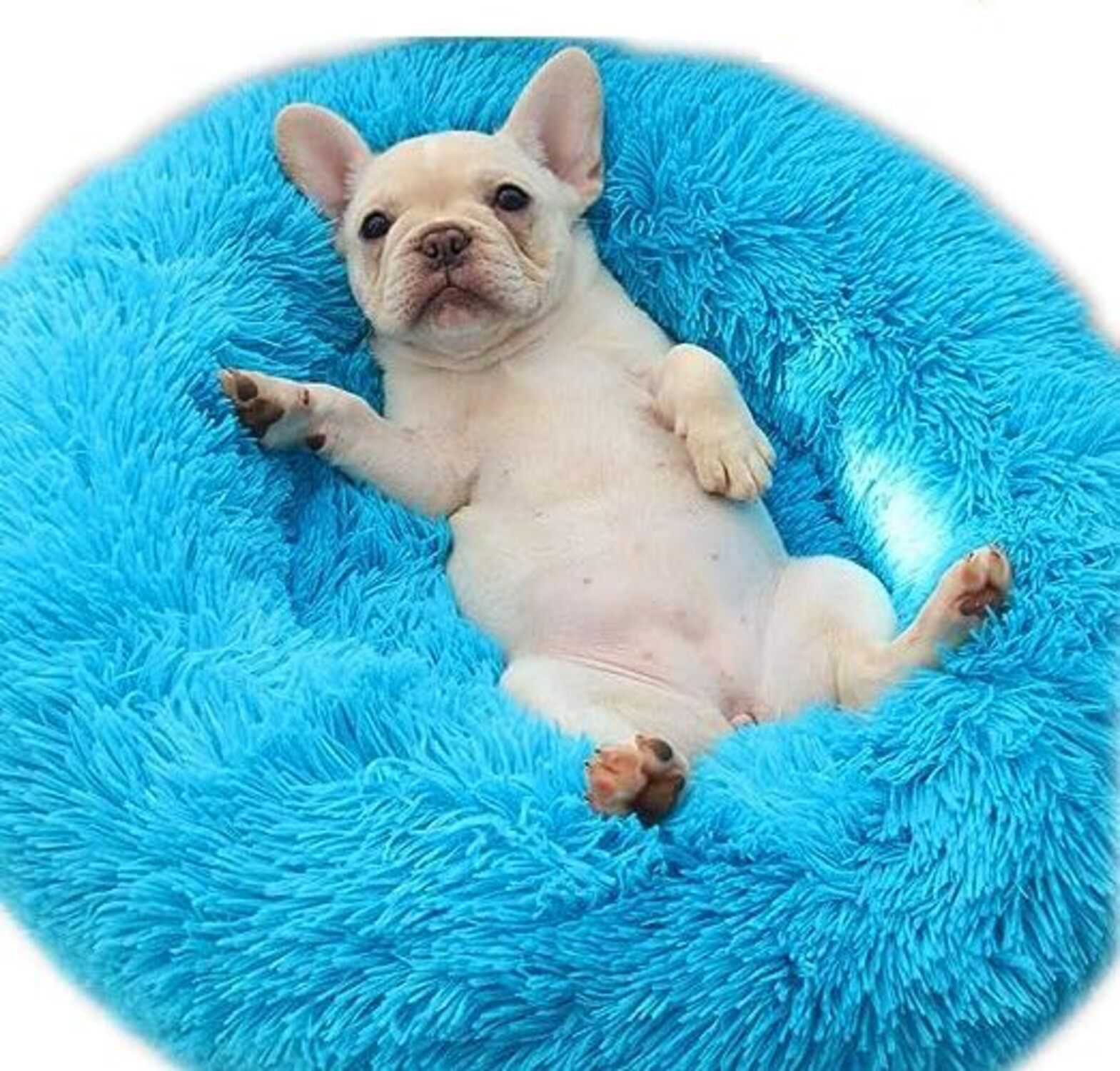 AZUL CLARO (1) (1) (1) — Postimages