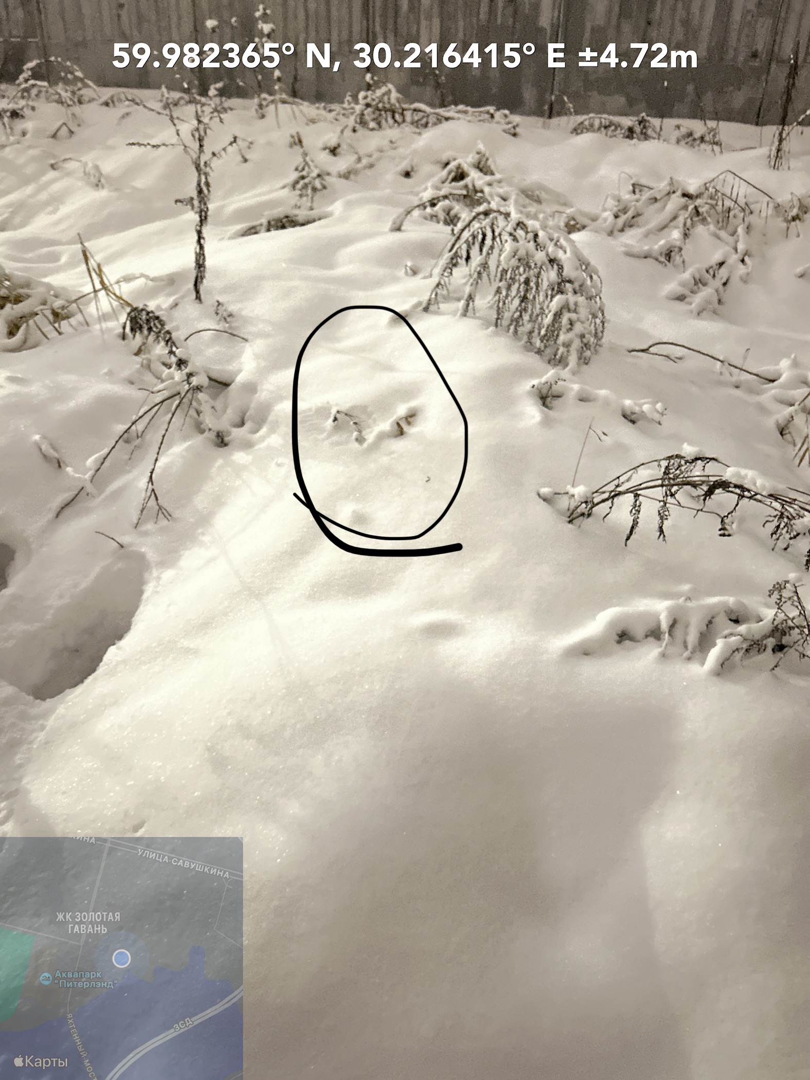 TC 00170 — Postimages