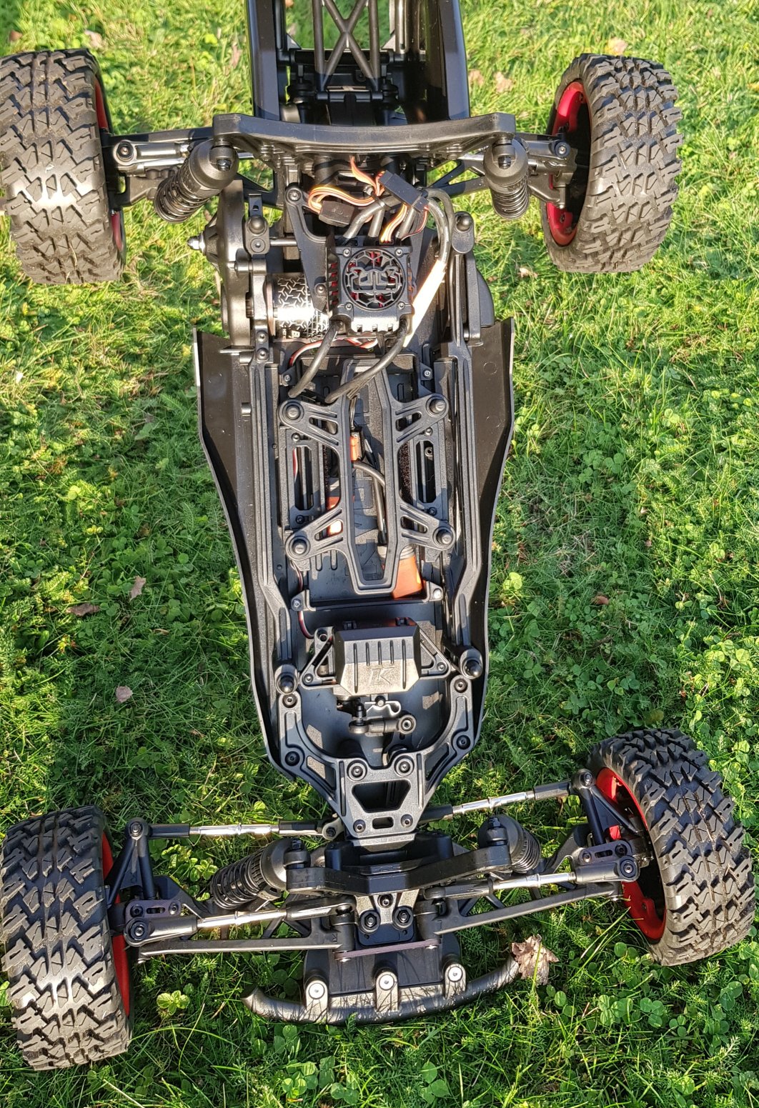 20221019 175702 — Postimages