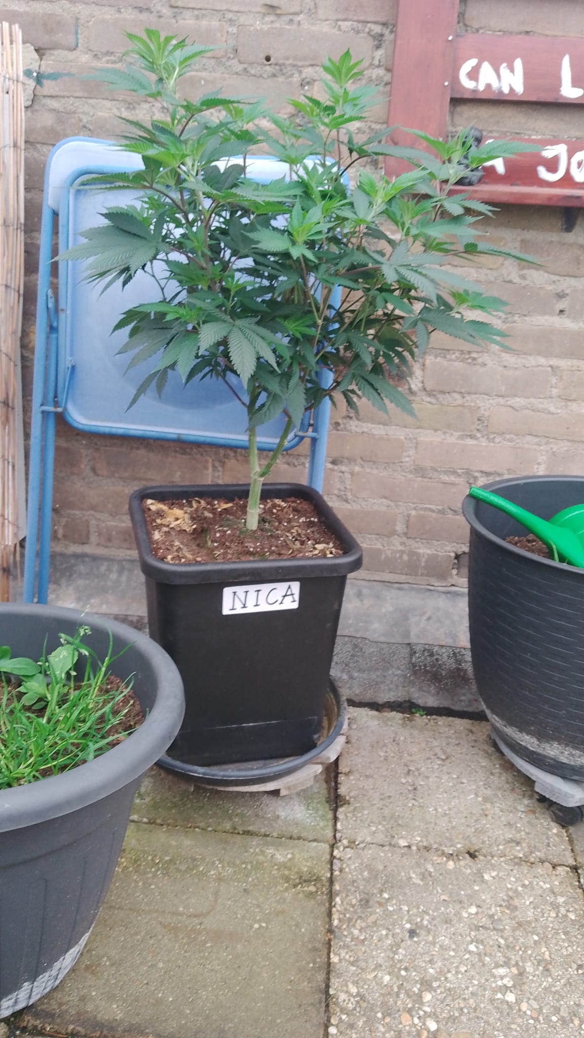 Nica Outdoor — Postimages