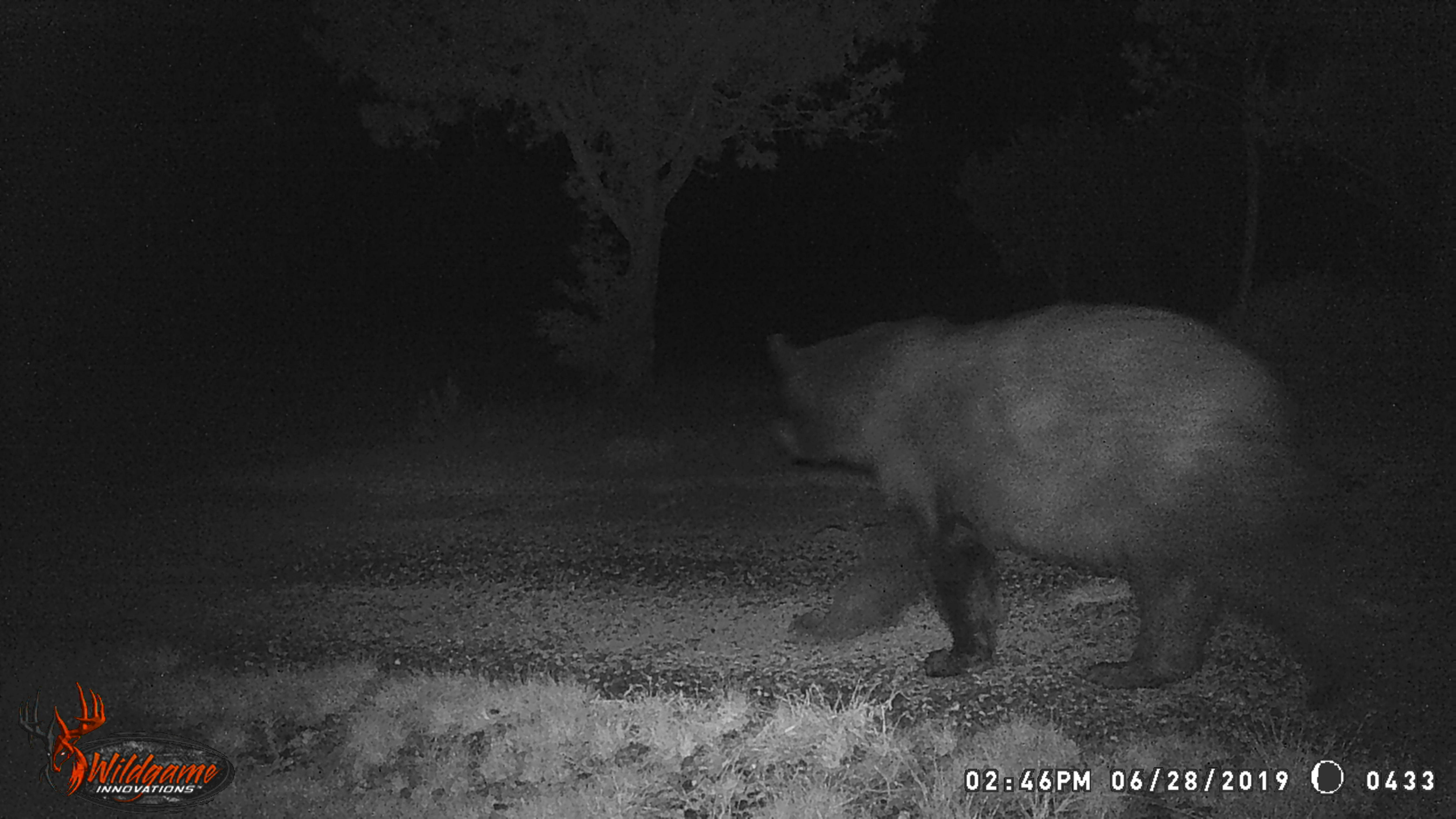 WGI 0433 — Postimages