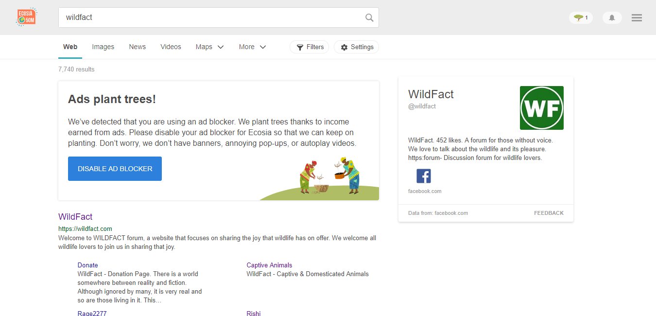 Ecosia: the search engine that plants trees