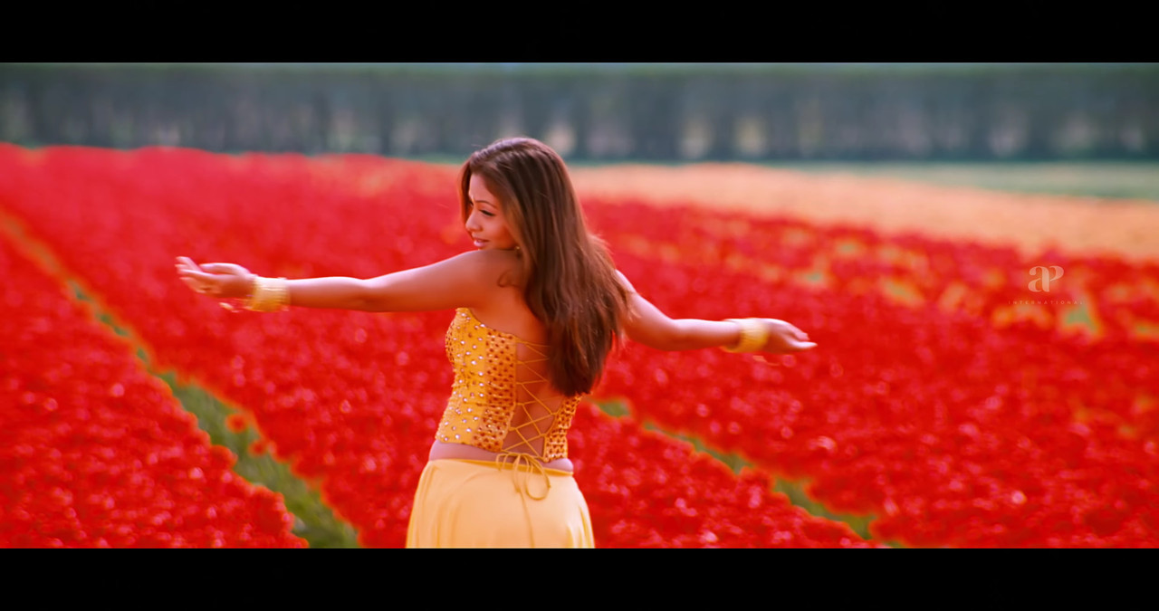 Video Capture 20241122 200436 — Postimages