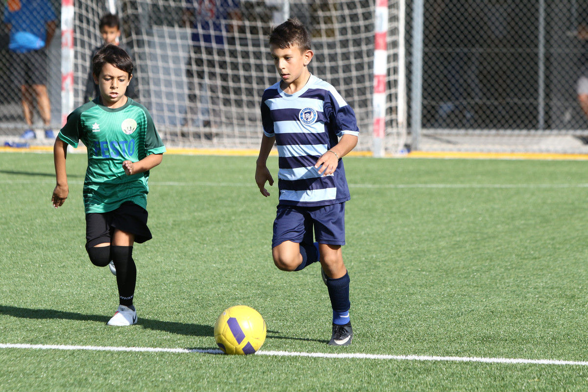 VIK 0077 — Postimages