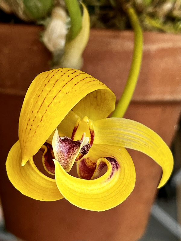 IMG 8664 — Postimages