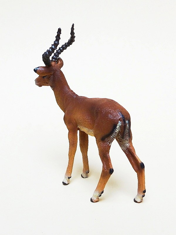 Antelope Elegance - Page 6