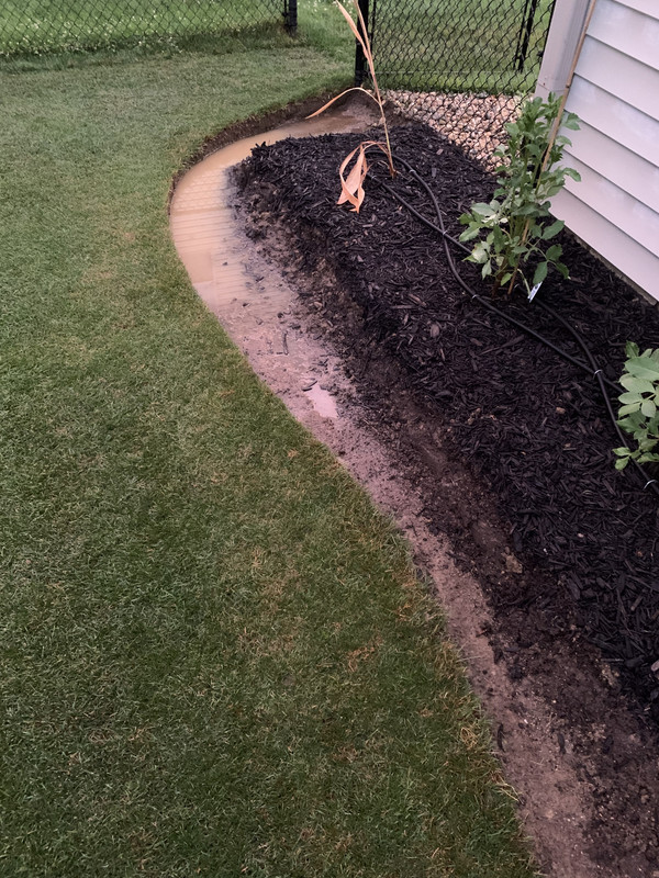 Natural edge drainage issue | Lawn Care Forum